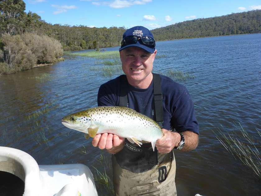 Atlantic salmon into Brushy Lagoon and Craigbourne Dam