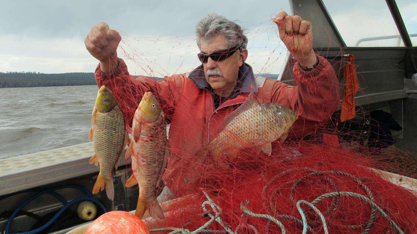 Carp season slowly warming up