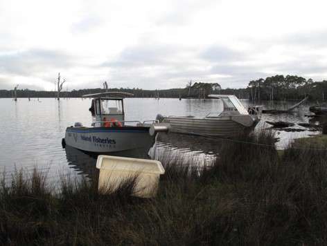 Talbots Lagoon: the results of our Fisheries Performance Assessment