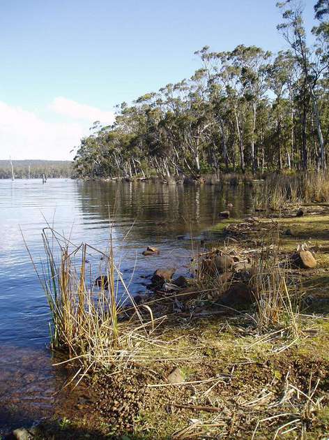 Tooms Lake – we’re hoping for big things