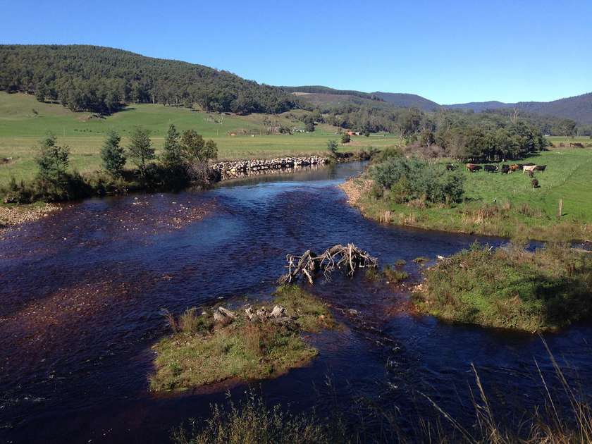 River Leven looking good for late season action.