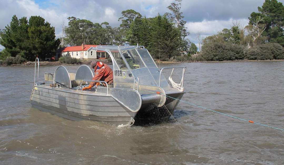 A new carp hunting vessel speeds up the carp capturing process