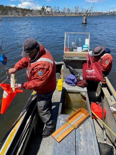Arthurs Lake Fish Survey December 2024