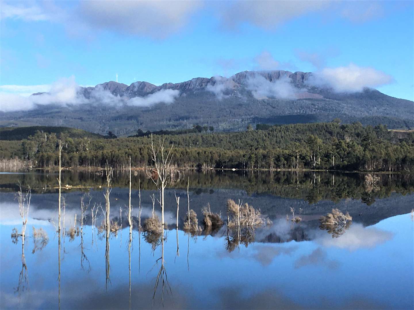 Camden Dam is filling and nearly spilling