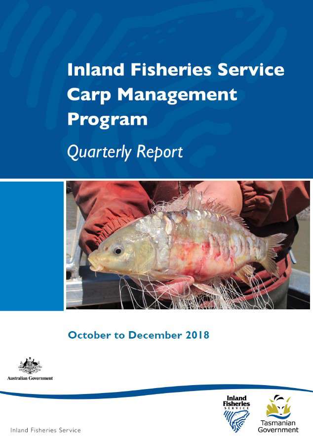 The Carp Report - October to December