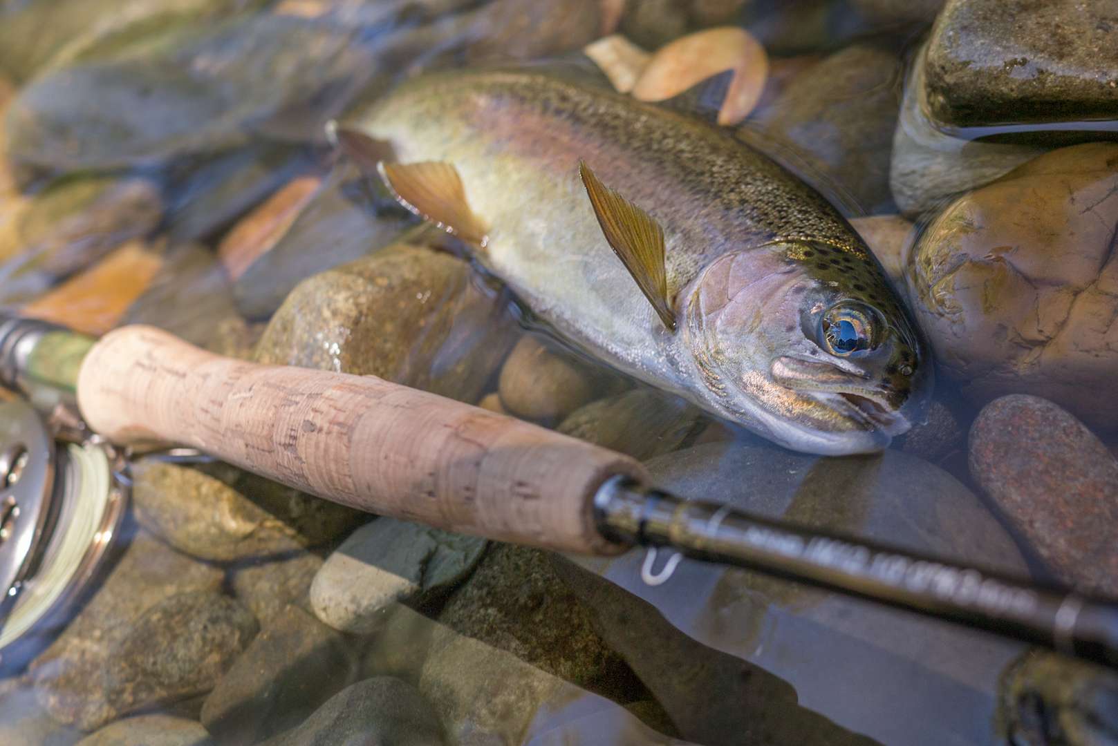 Mersey River - World Fly Fishing Championship 2019 venue