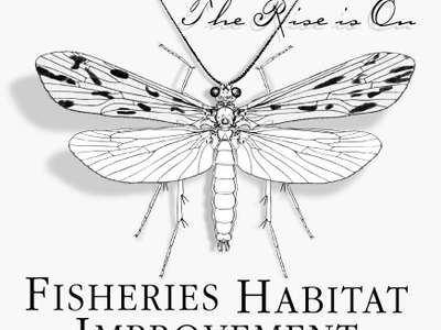 News - Inland Fisheries Service