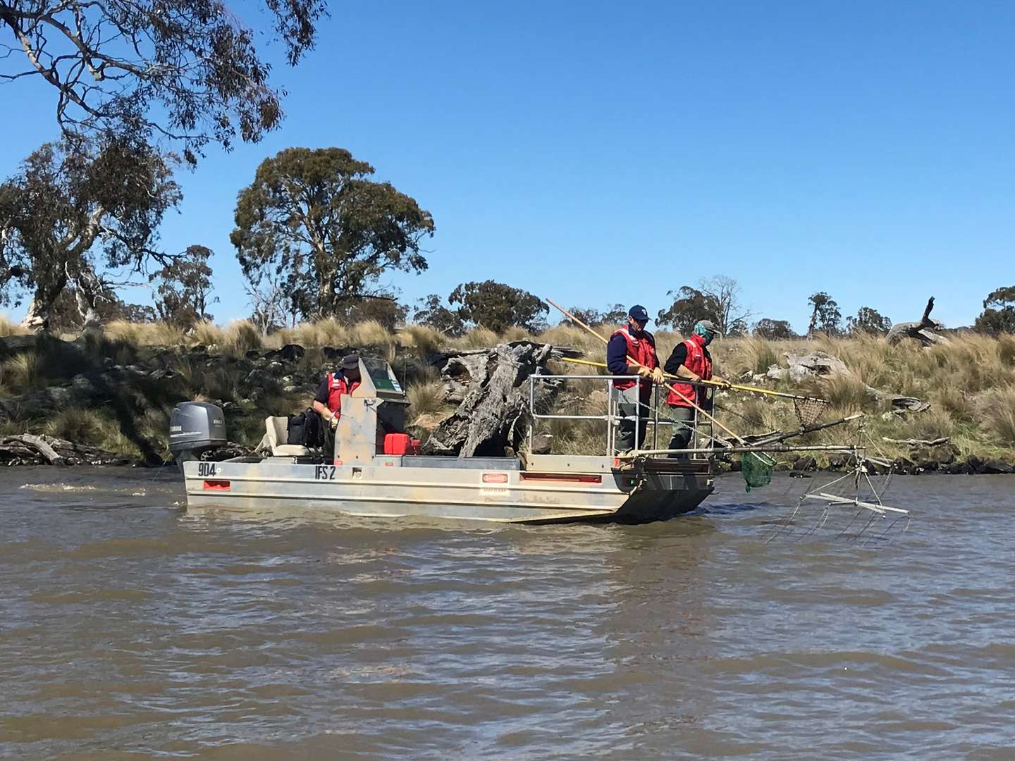 Victoria comes to the rescue for Tasmanian Carp Management Program.