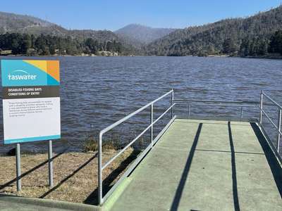 Brushy Lagoon algal bloom