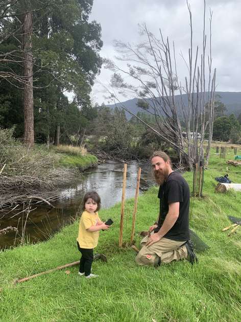 Tyenna River restoration progress