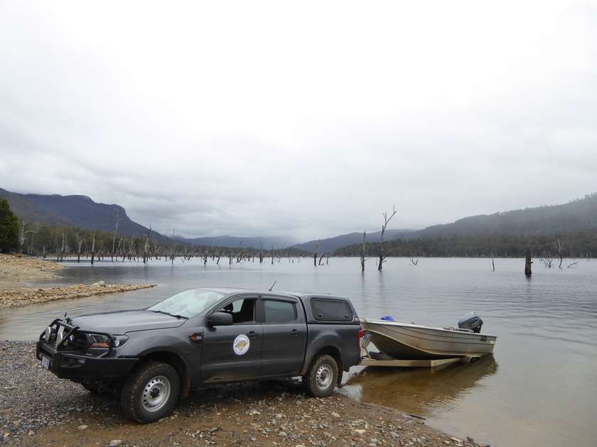 Long Weekend Patrol