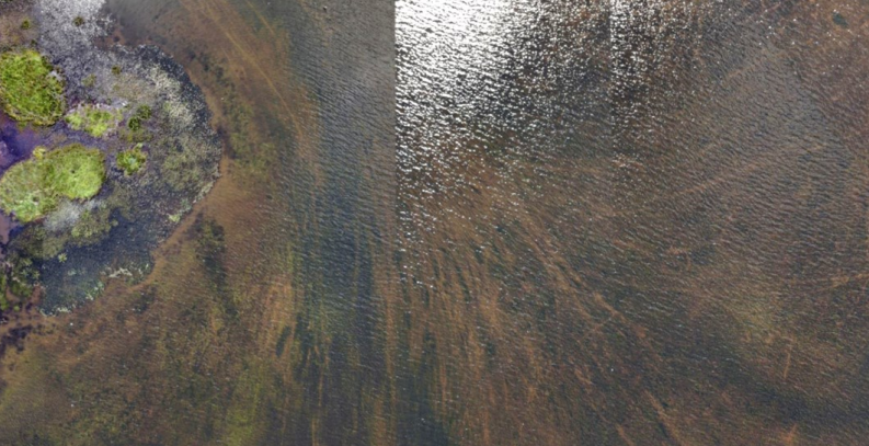 Shallow Waters - Slow Down and Trim Up!