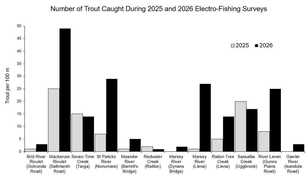 River Electro-Fishing Surveys in 2025 and 2026 - Signs of Recovery