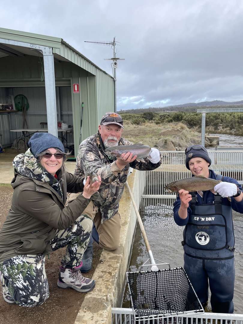 Wild rainbow trout management at Liawenee