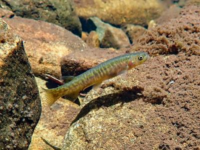 Talbots Lagoon access upgrades