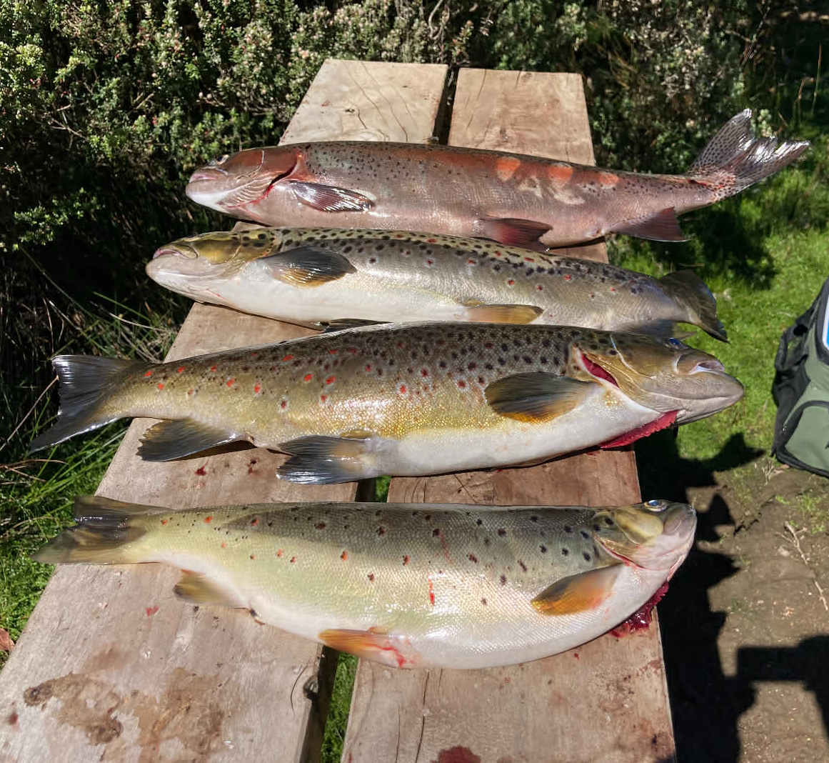 Summer Fishing Report