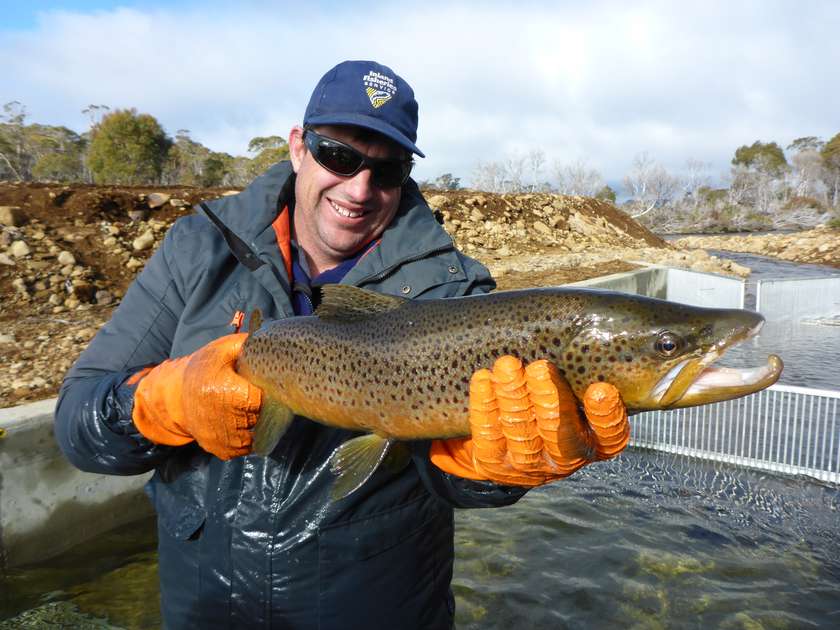 Fishing Arthurs Lake in Spring