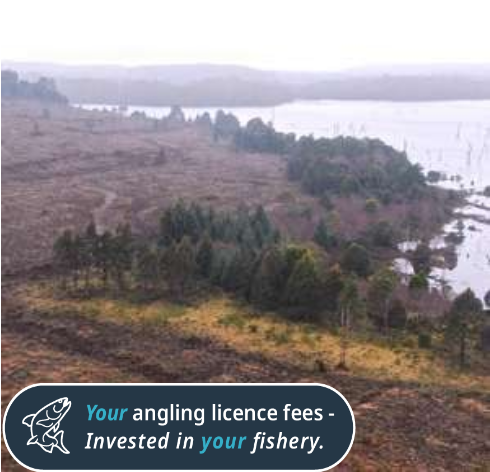 Access maintained during timber harvest at Talbots Lagoon