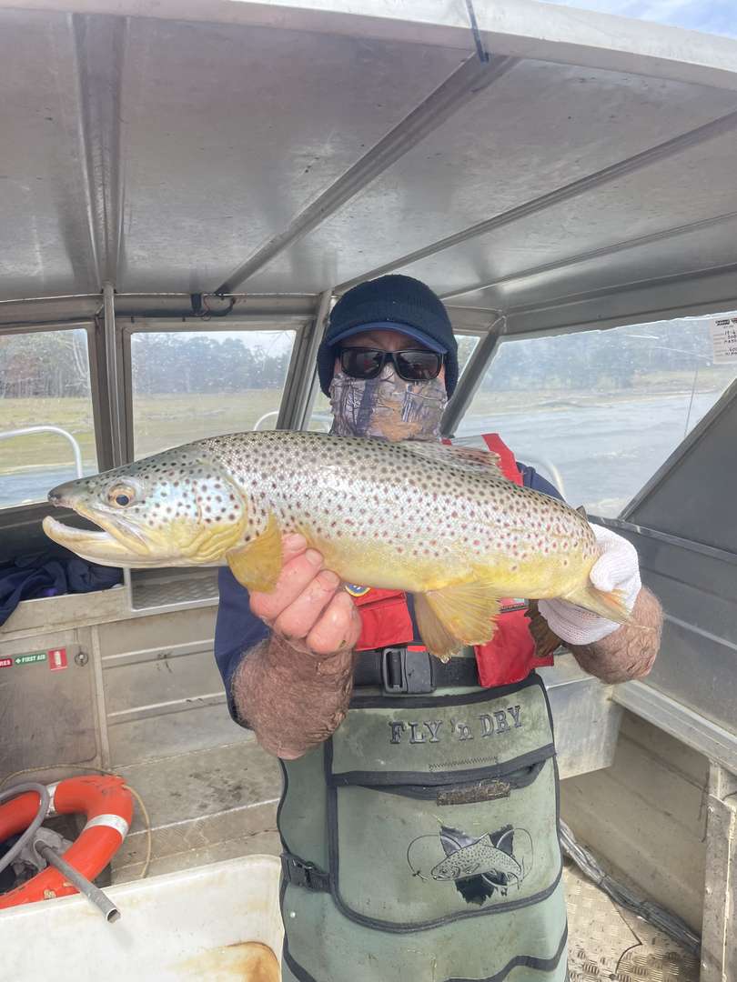 Take advantage of the long weekend (and weather forecast) for the closing of the brown trout ...