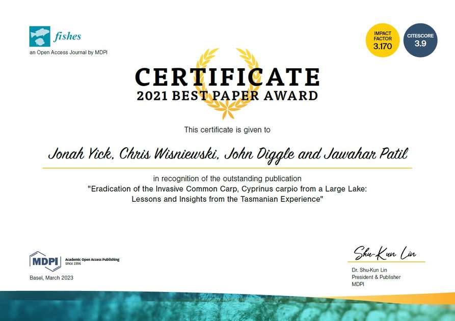 Scientific publication by the IFS receives best paper award