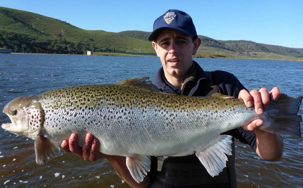 More monsters hit Craigbourne Dam