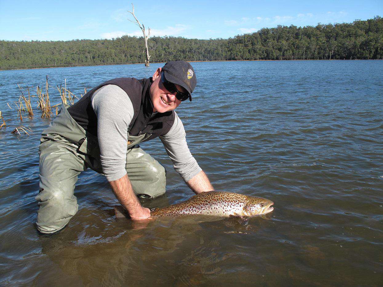 Salmon stocked in Craigbourne Dam and Brushy Lagoon.