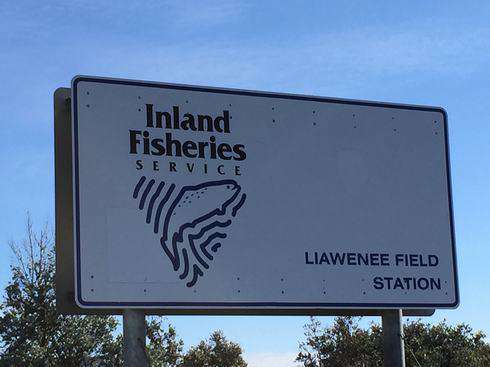 Appointment of a new Fisheries Officer at Liawenee