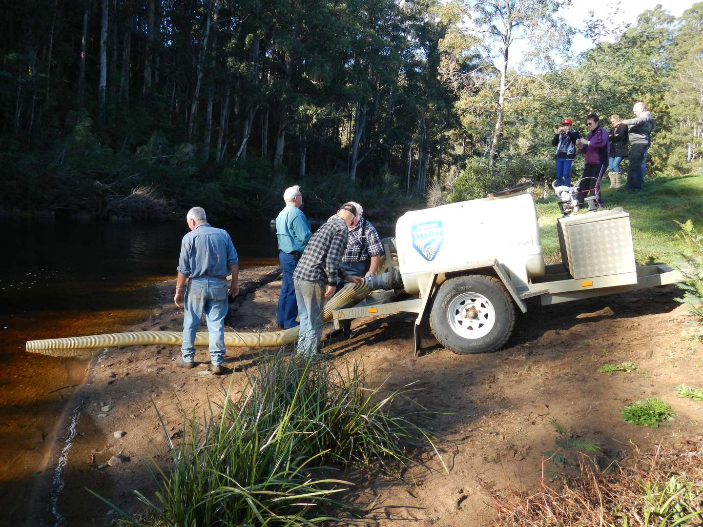 River Leven stocked with adult brown trout
