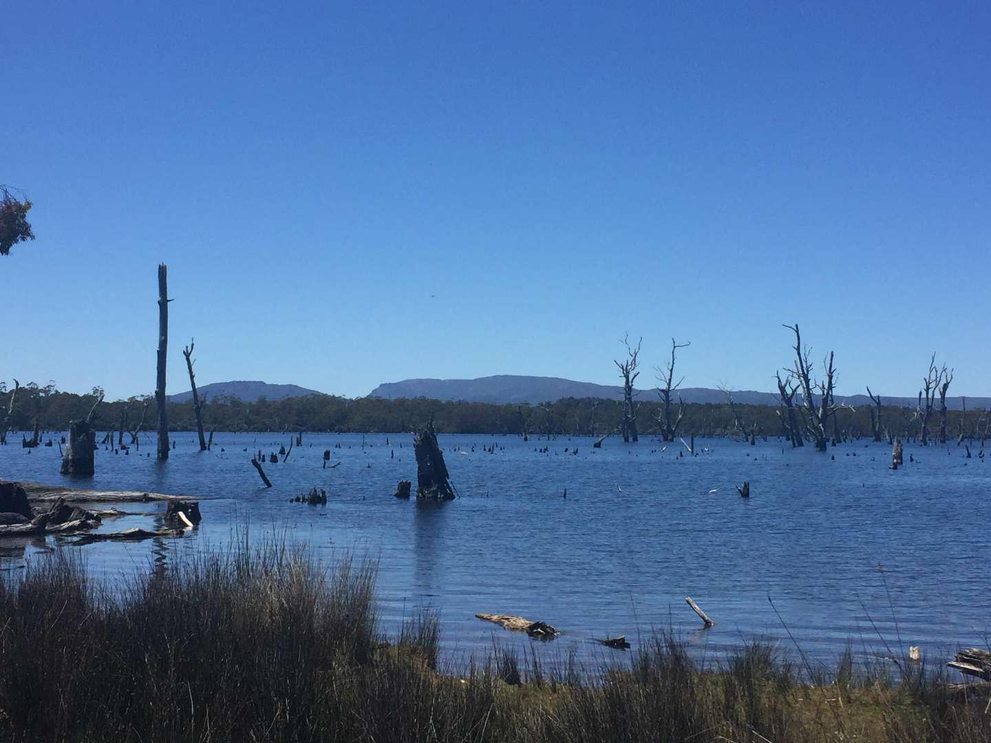 Pleasing to see that most anglers are doing the right thing